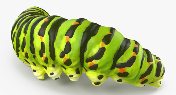 3d caterpillar rigged model