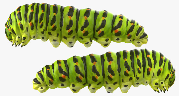 3d caterpillar rigged model
