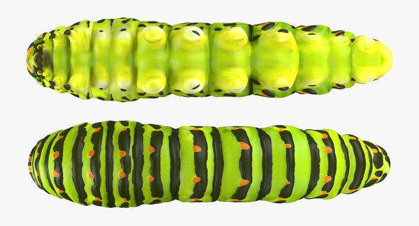 3d caterpillar rigged model