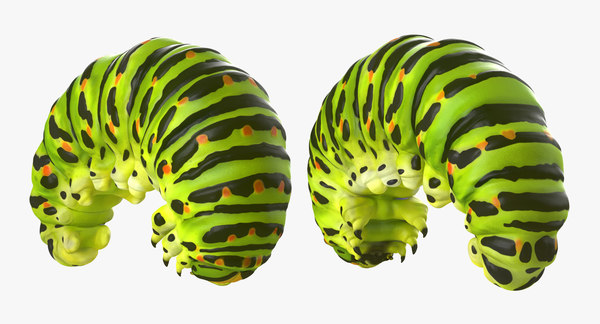 3d caterpillar rigged model