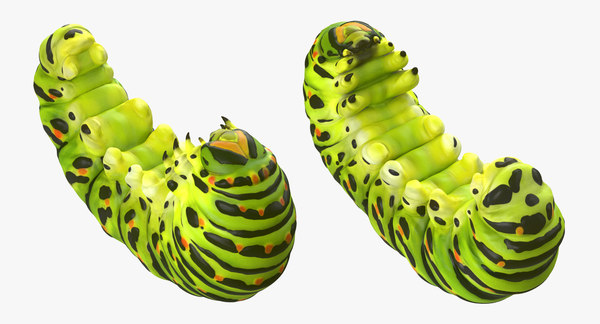 3d caterpillar rigged model