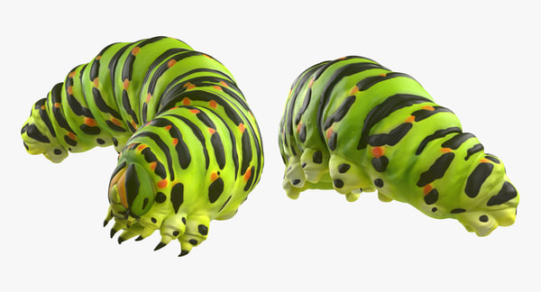 3d caterpillar rigged model