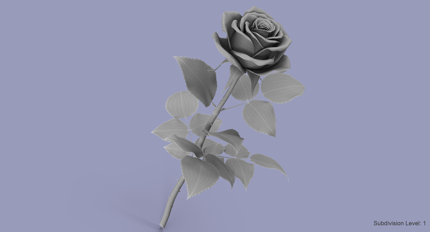 rose 5 3d model