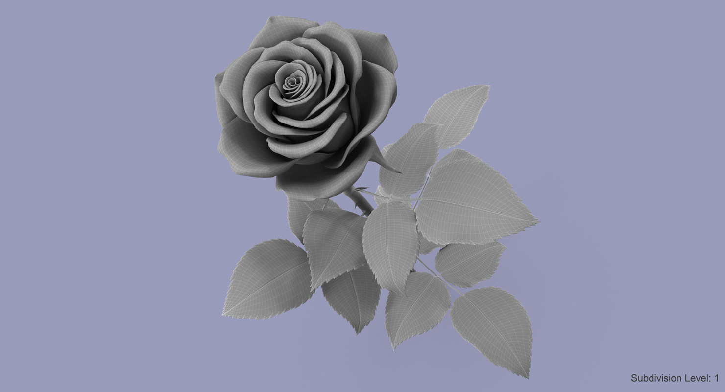 rose 5 3d model