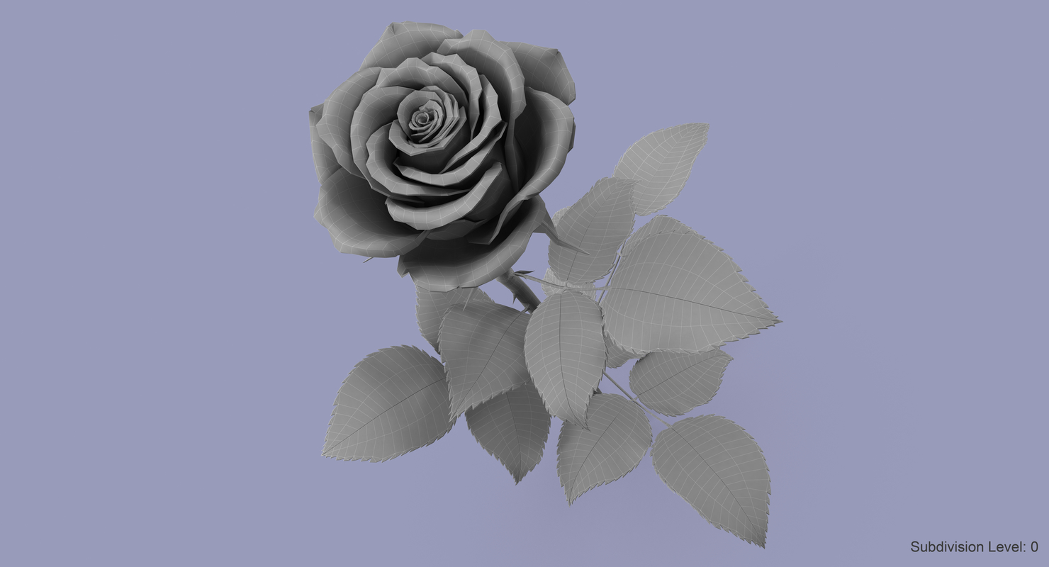 rose 5 3d model