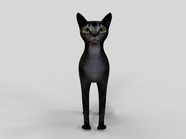 cats feline 3d obj