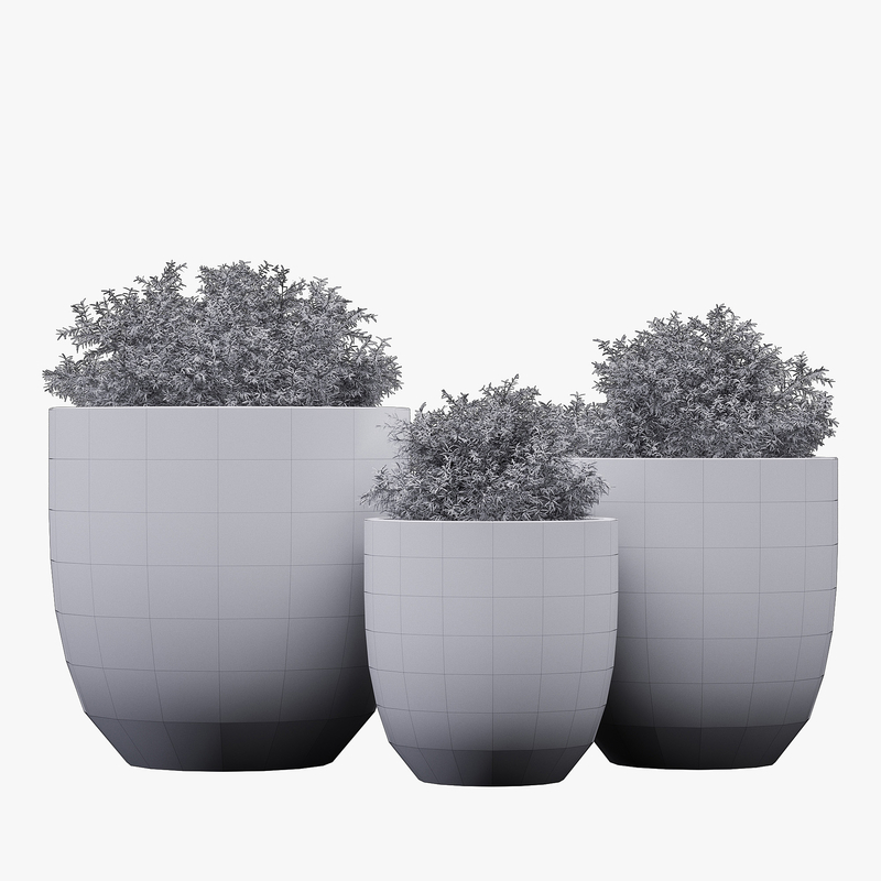 design royal pot 3d model