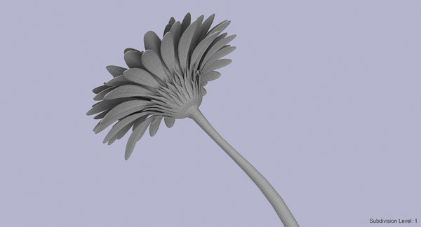 gerbera petal 3d model