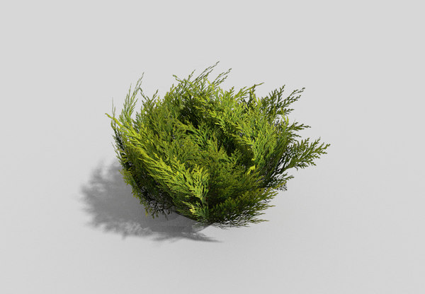 Bush Blender Models for Download | TurboSquid
