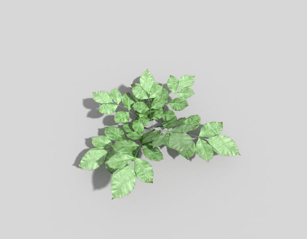 plant games 3d model