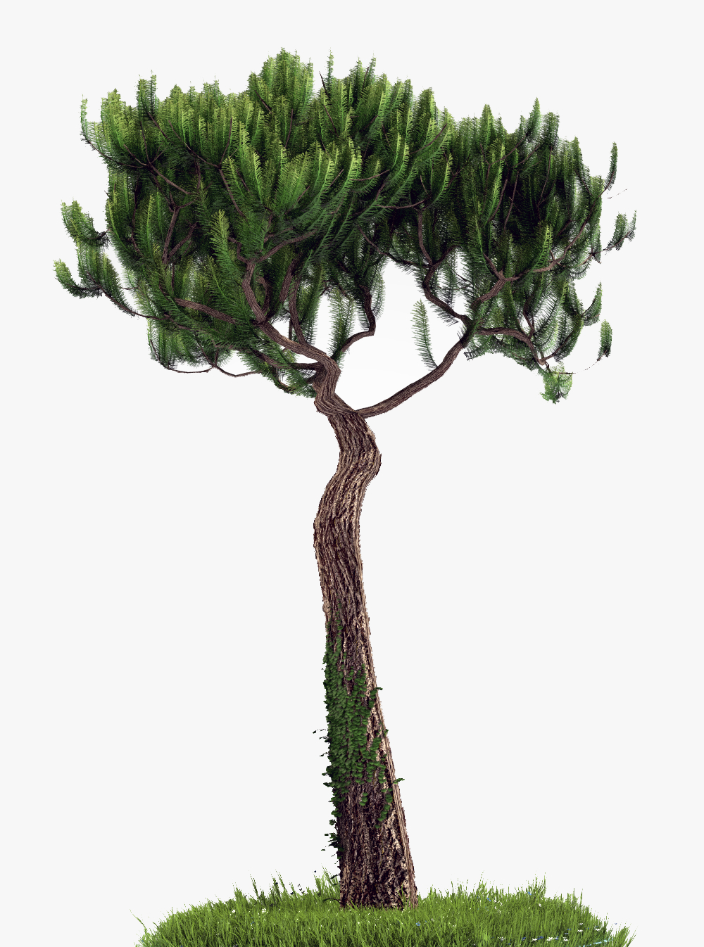 3d model pine trees
