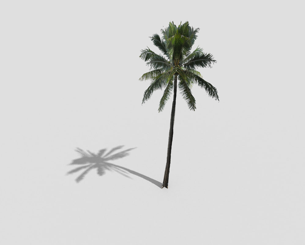 Palm Tree Blender Models for Download | TurboSquid