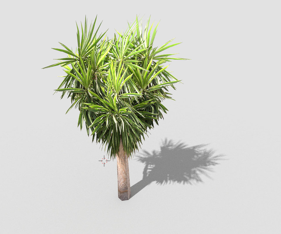 Palm Tree Blender Models for Download | TurboSquid