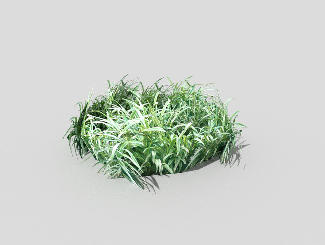 3d model of grass games