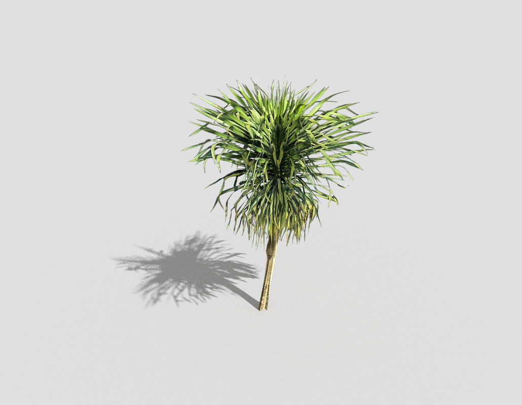 Palm Tree Blender Models for Download | TurboSquid