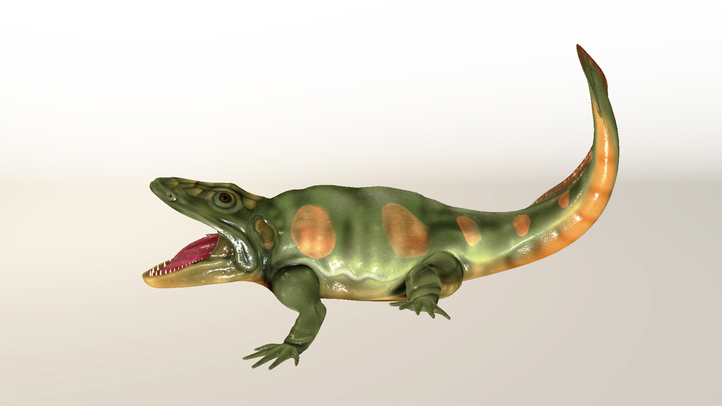modèle 3D de Ichthyostega - TurboSquid 1117126