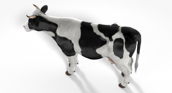 3d cow realistic model