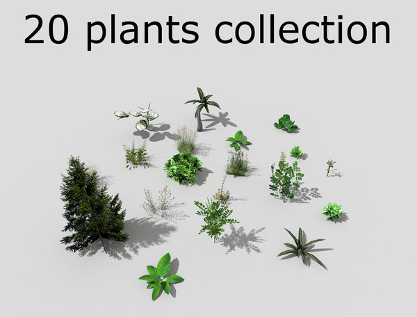 3d plants