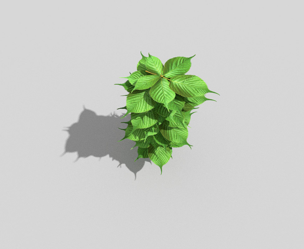 3d plant model