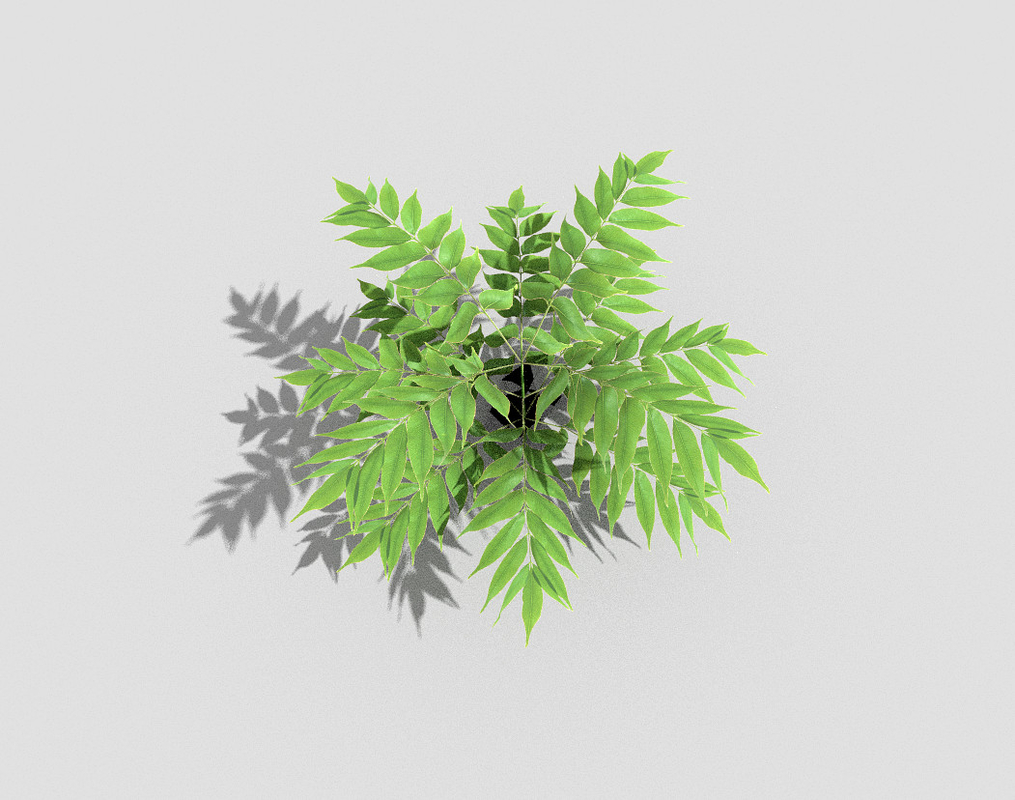 plant 3d obj