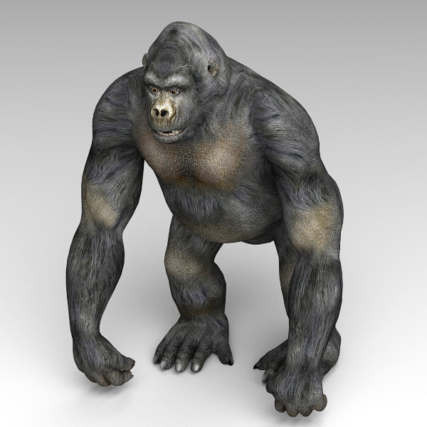 3d gorilla model