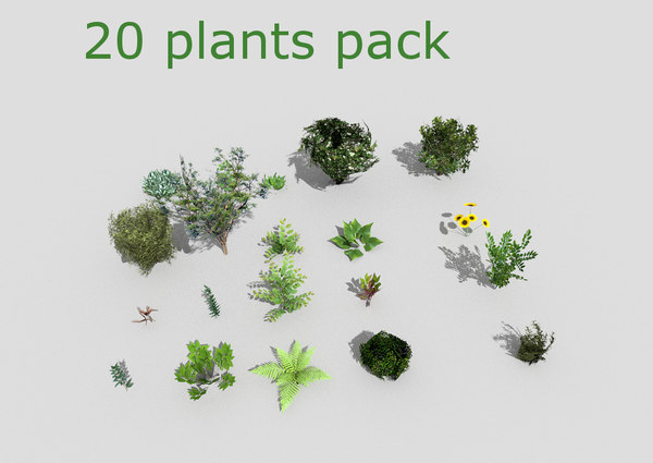 Bush Blender Models for Download | TurboSquid