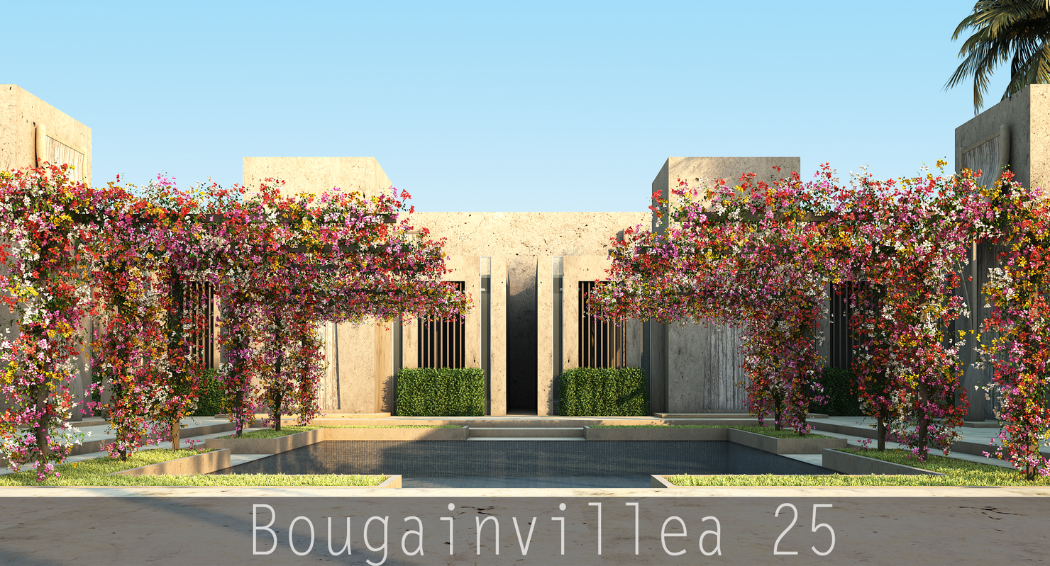 3d model plant flower