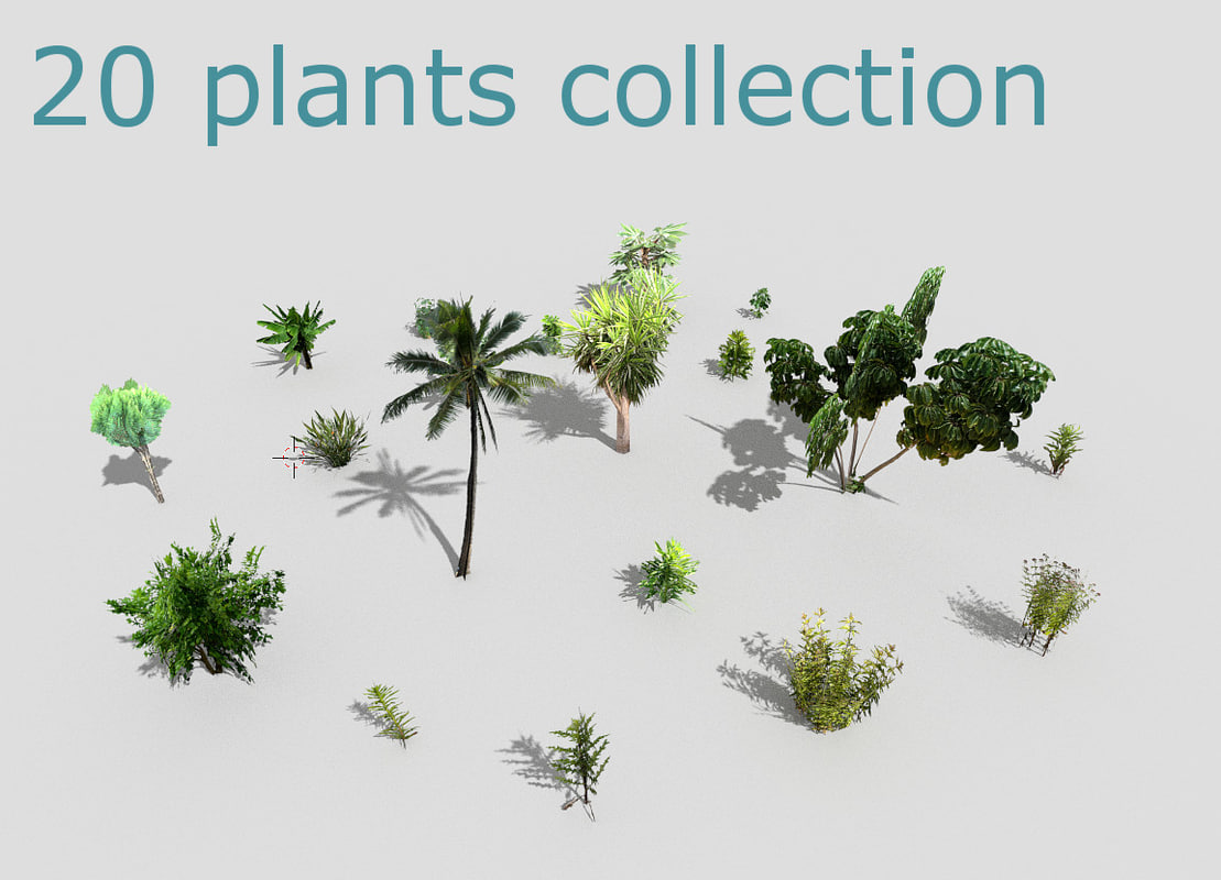 3d model plants