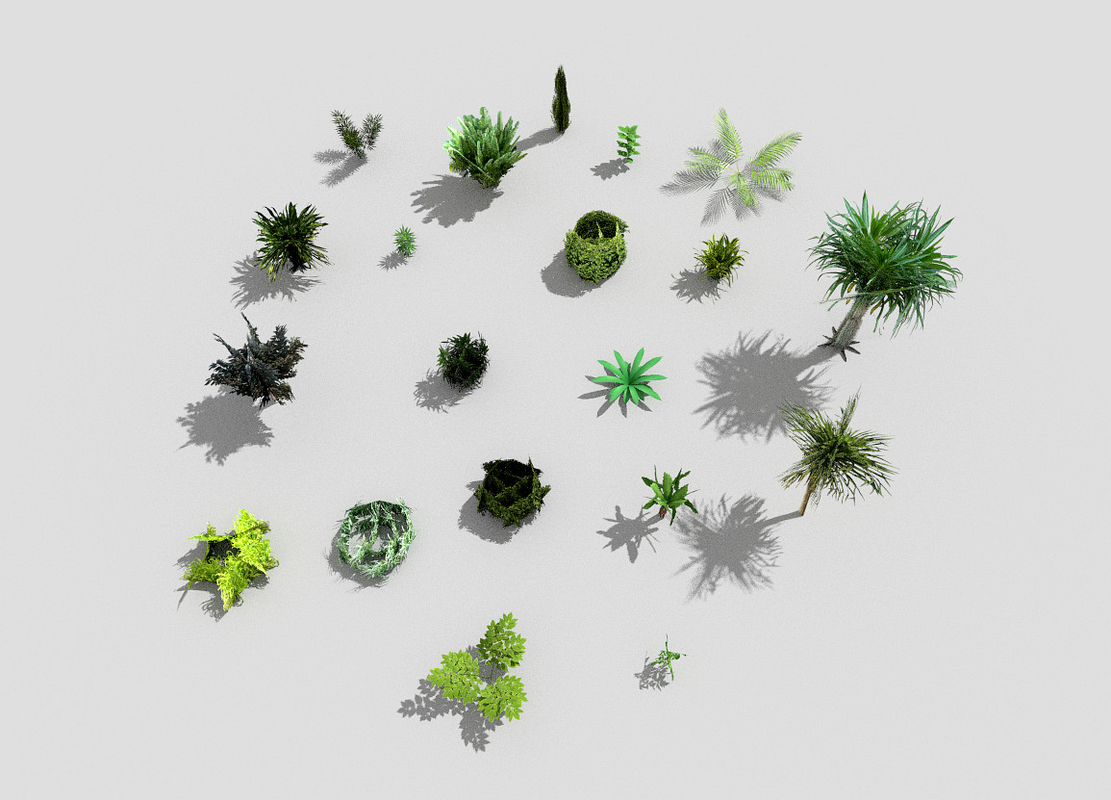 3d plants model