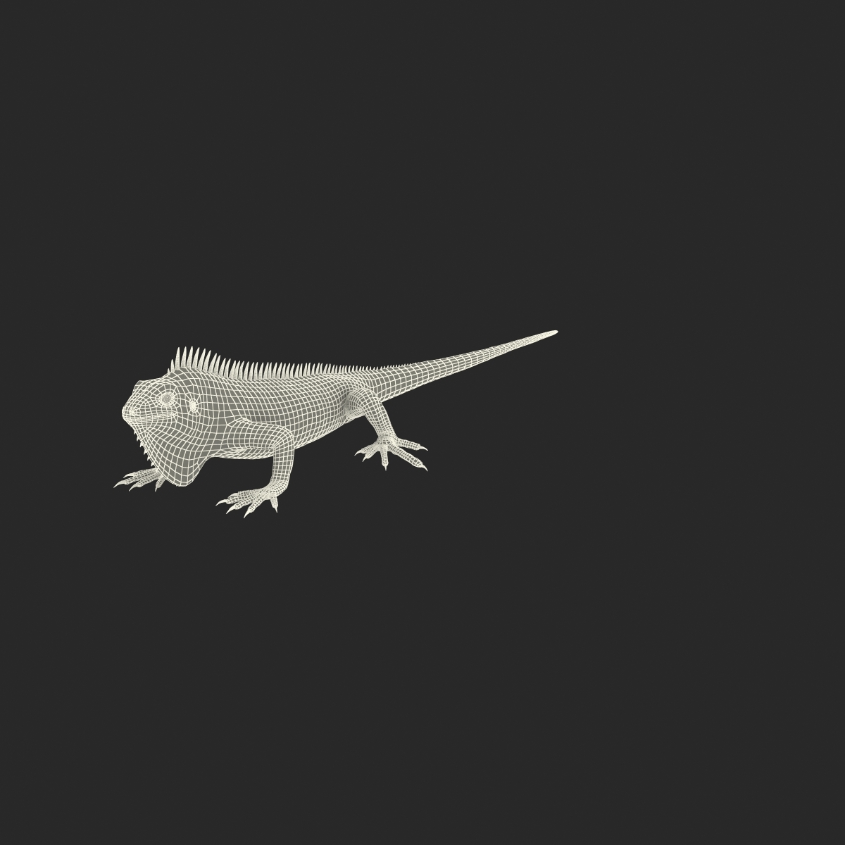 green iguana rigged 3d c4d