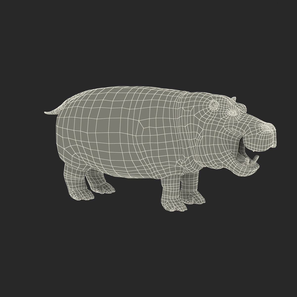 3d Hippopotamus Rigged Model