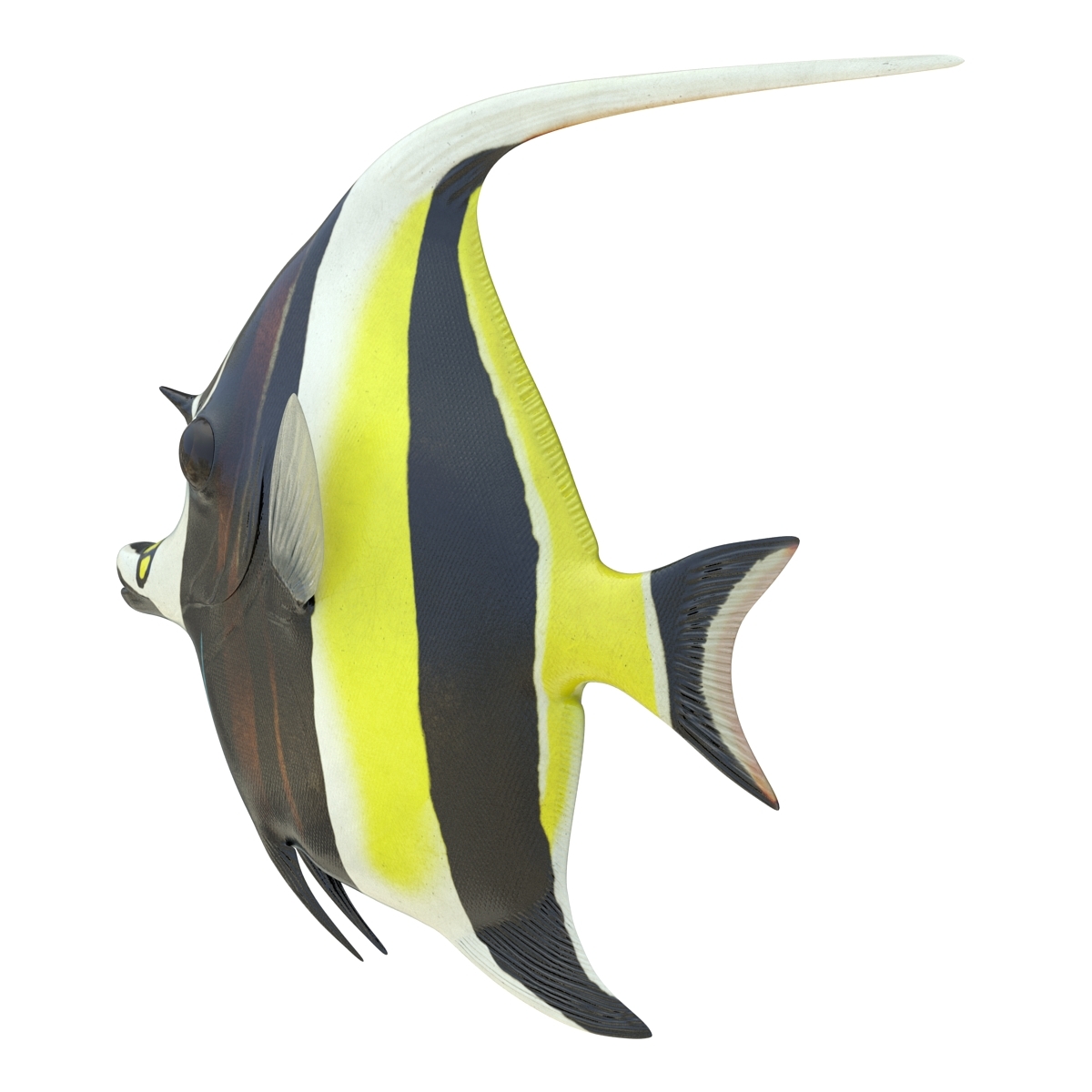 moorish idol fish rigged 3d model