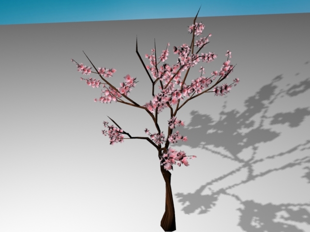 sakura tree 3d max