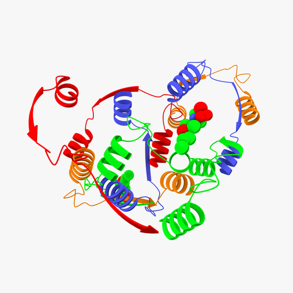 3d animation enzymes model