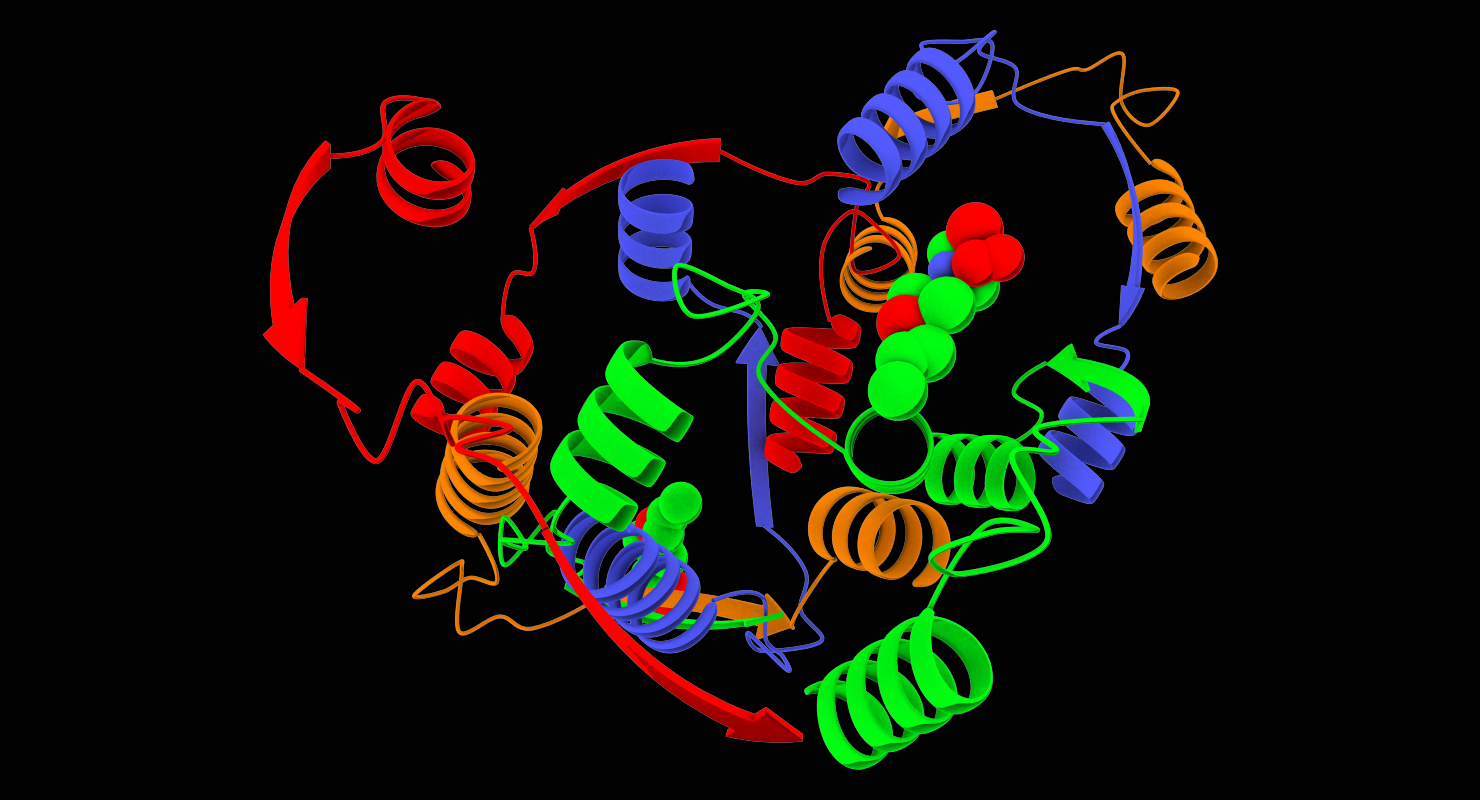 3d animation enzymes model