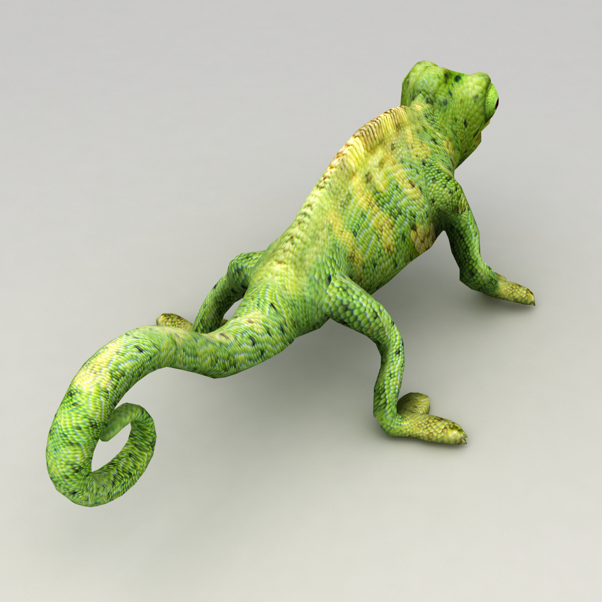 chameleon animation max
