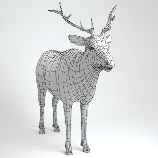 3d male elk model