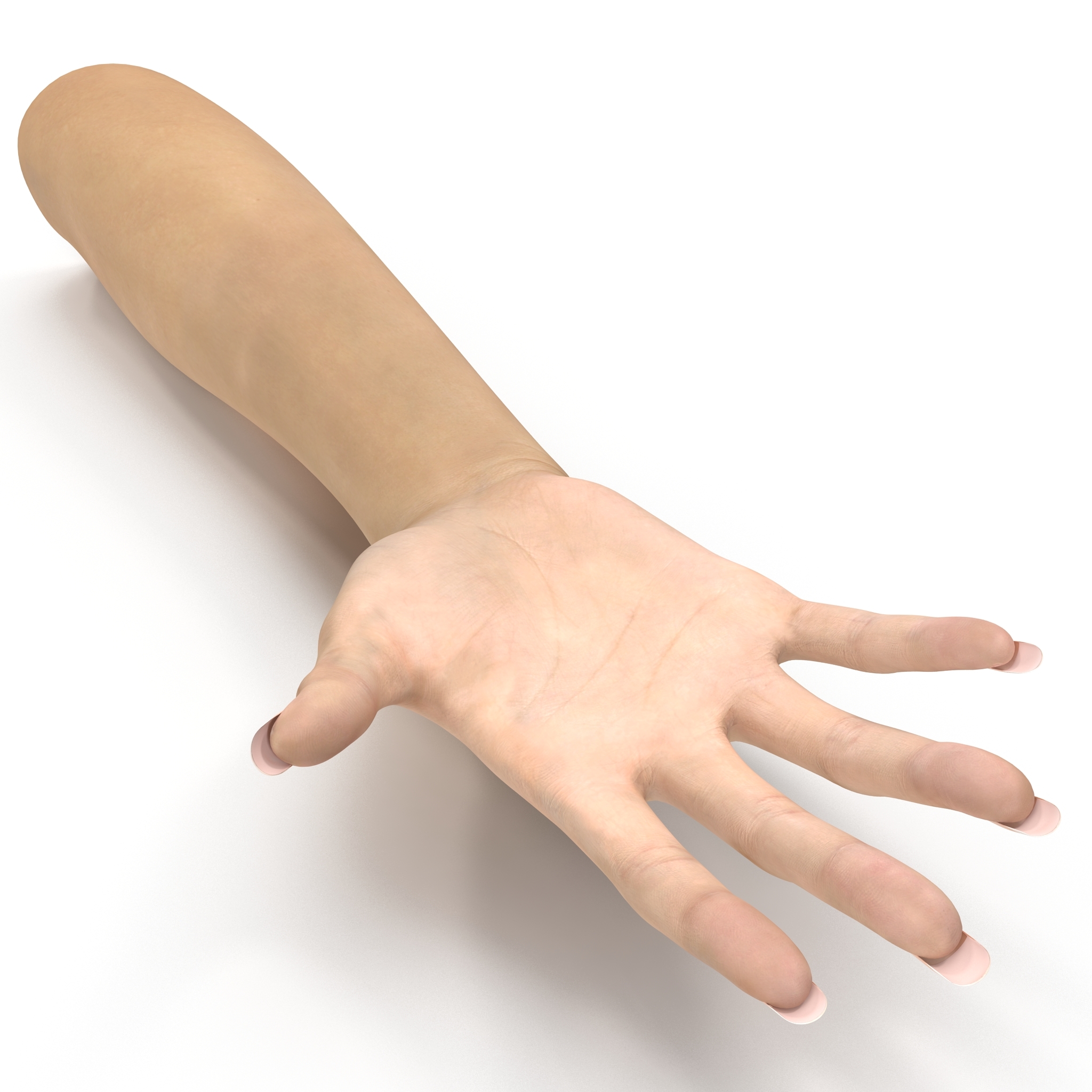 female hand 3 rigged 3d model