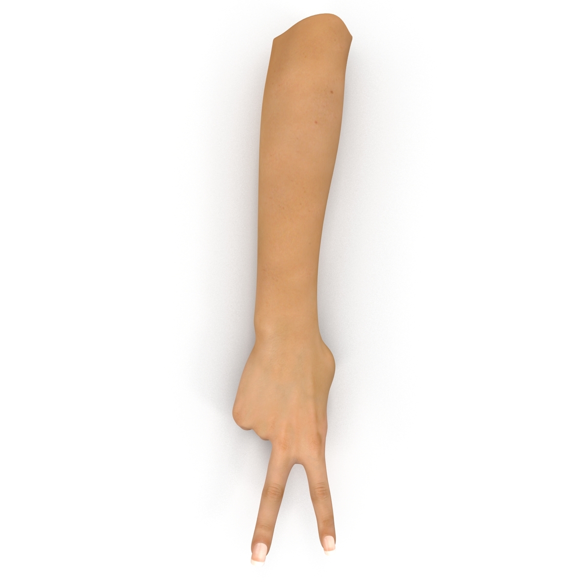 female hand rigged 3d ma
