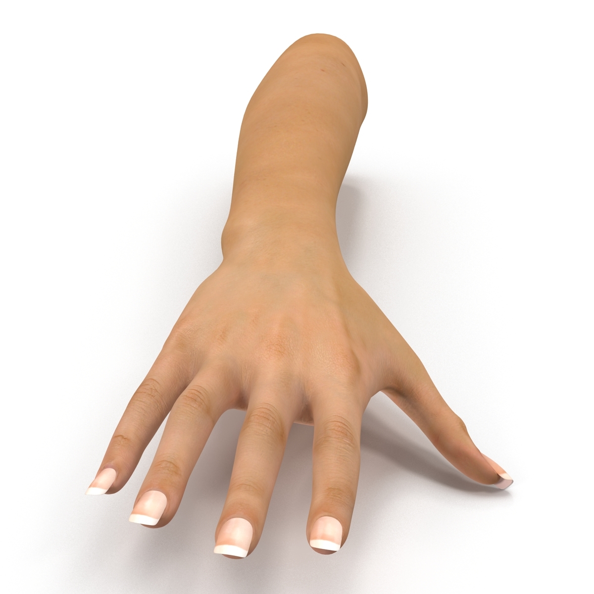 female hand rigged 3d ma