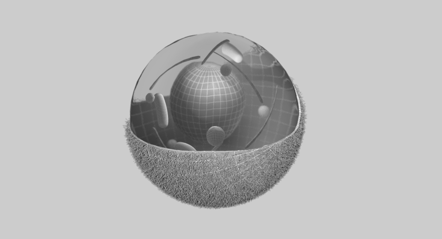 3d female ovary model