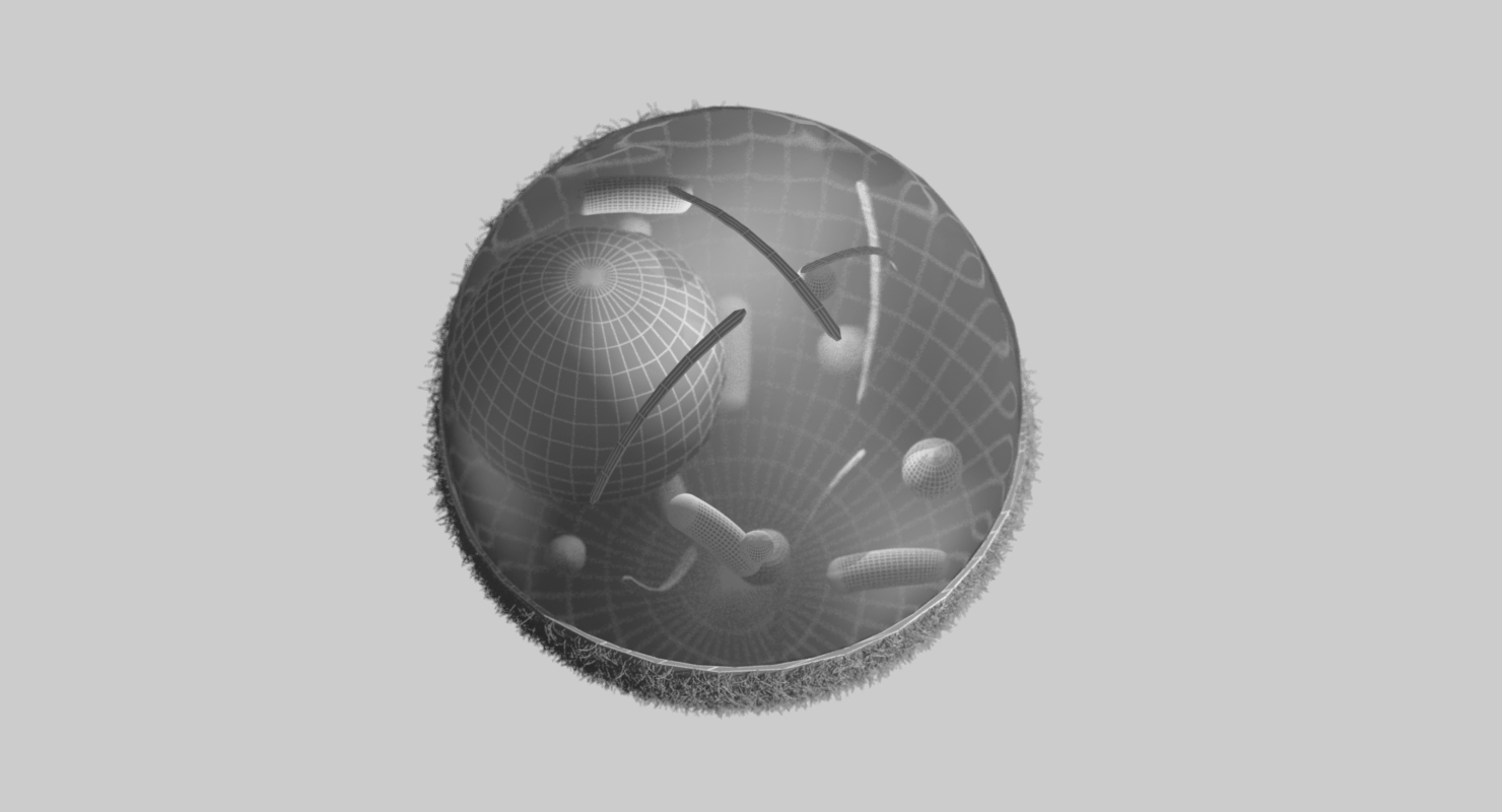 3d female ovary model