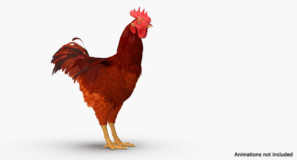 3d model brown hen rigged