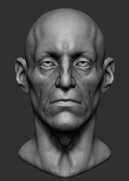 male head base anatomy obj