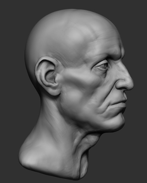 male head base anatomy obj