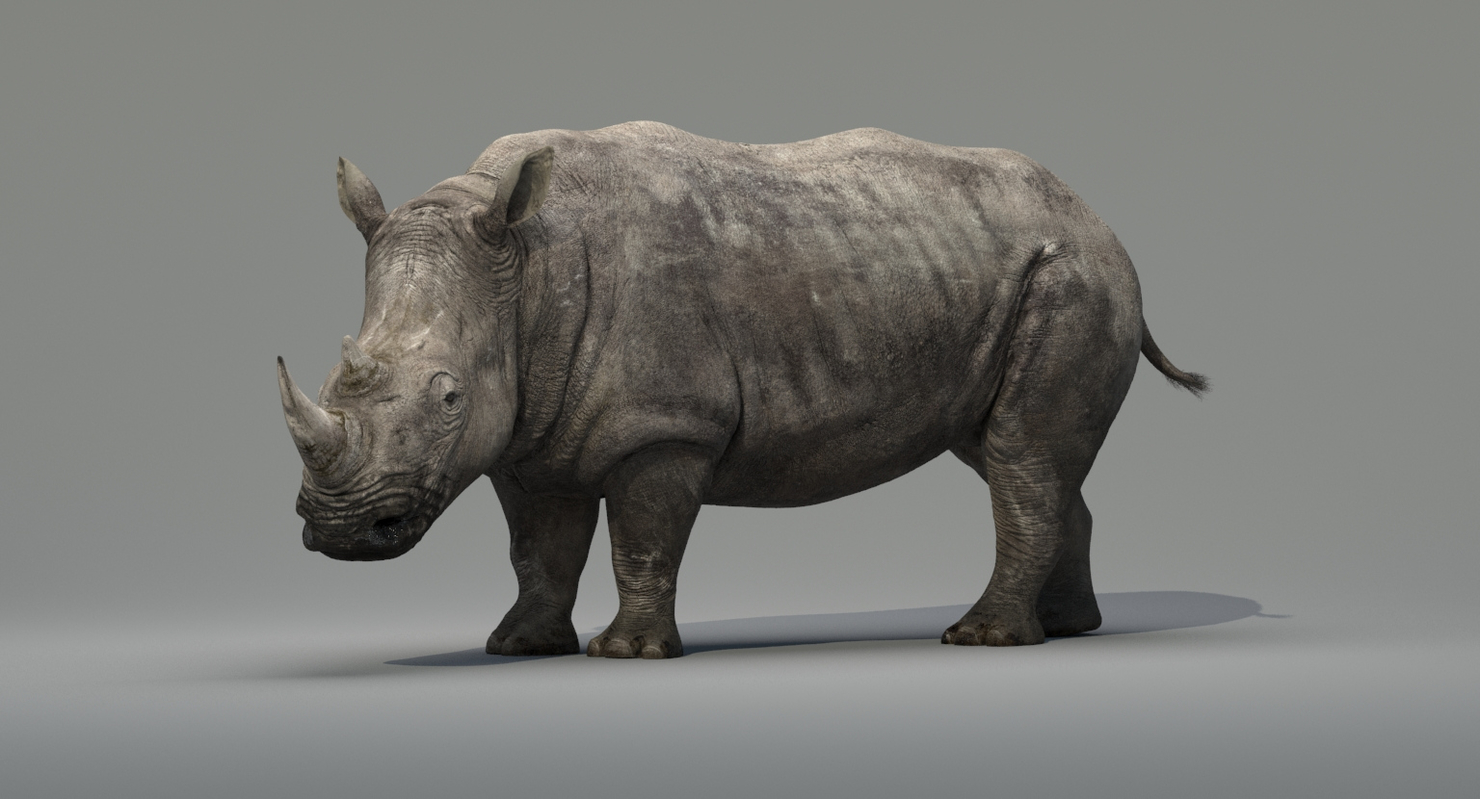 3d model rhino rigged