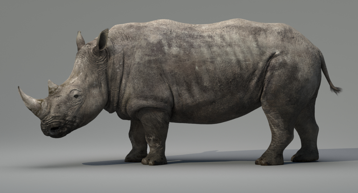 3d model rhino rigged