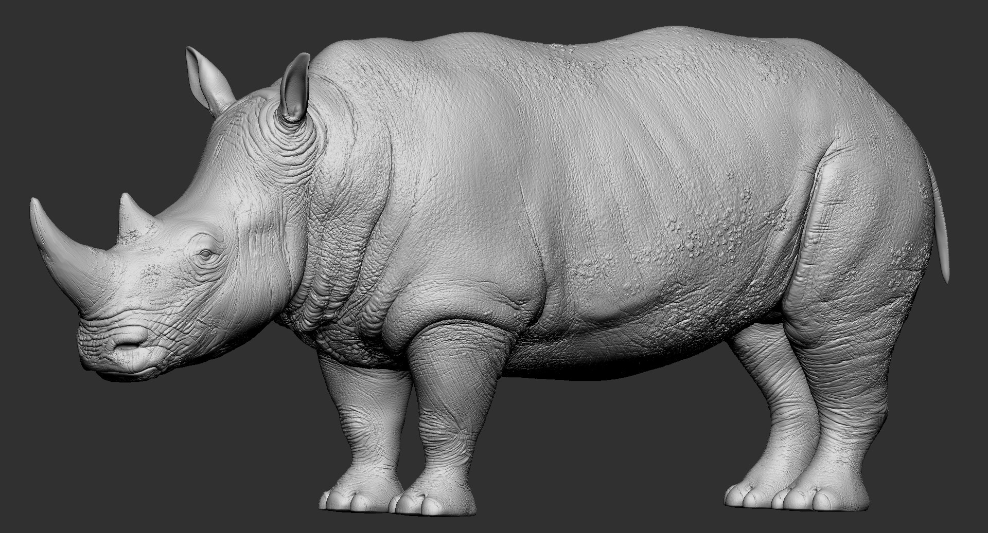 3d model rhino rigged
