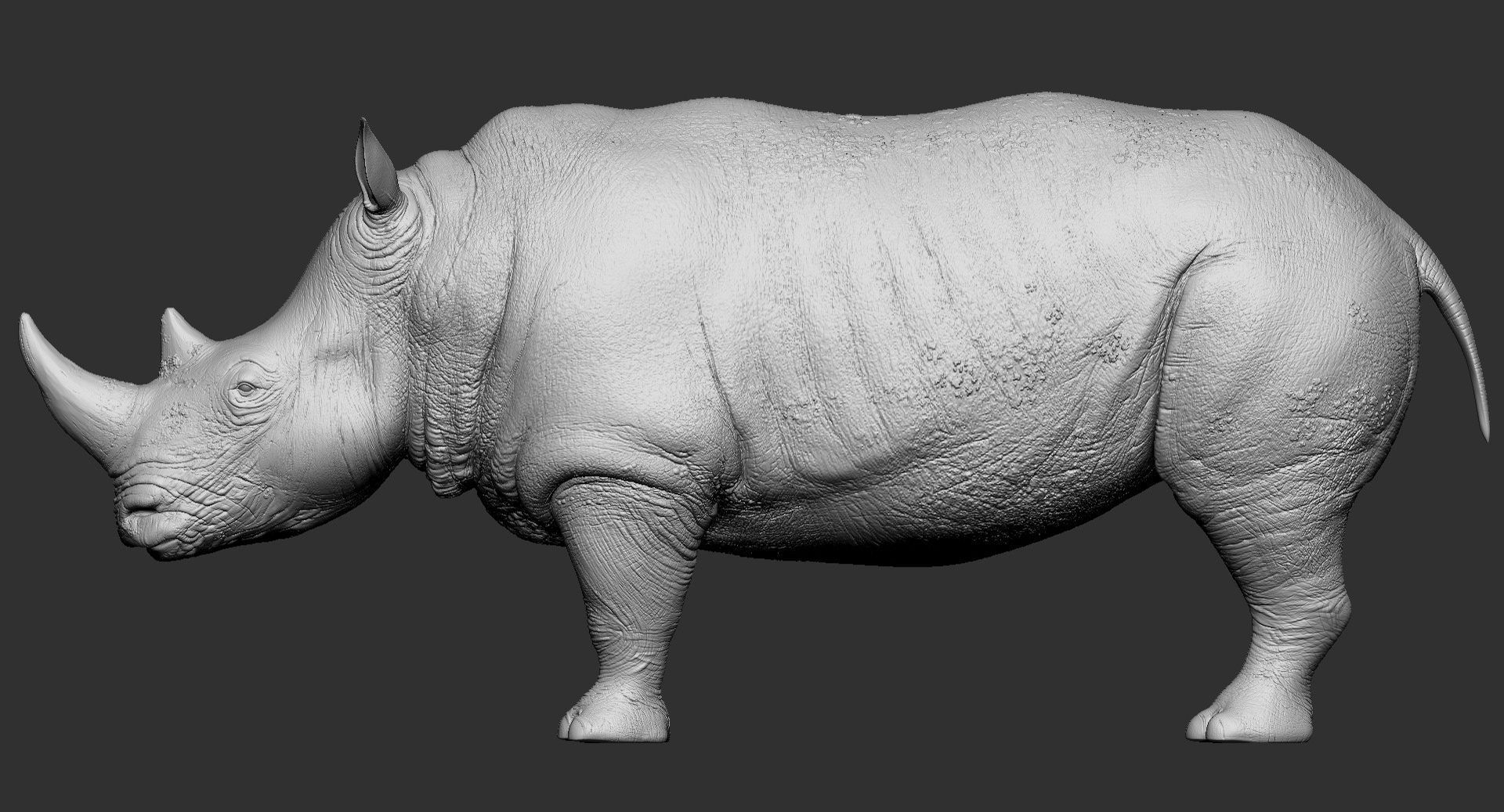 3d Model Rhino Rigged
