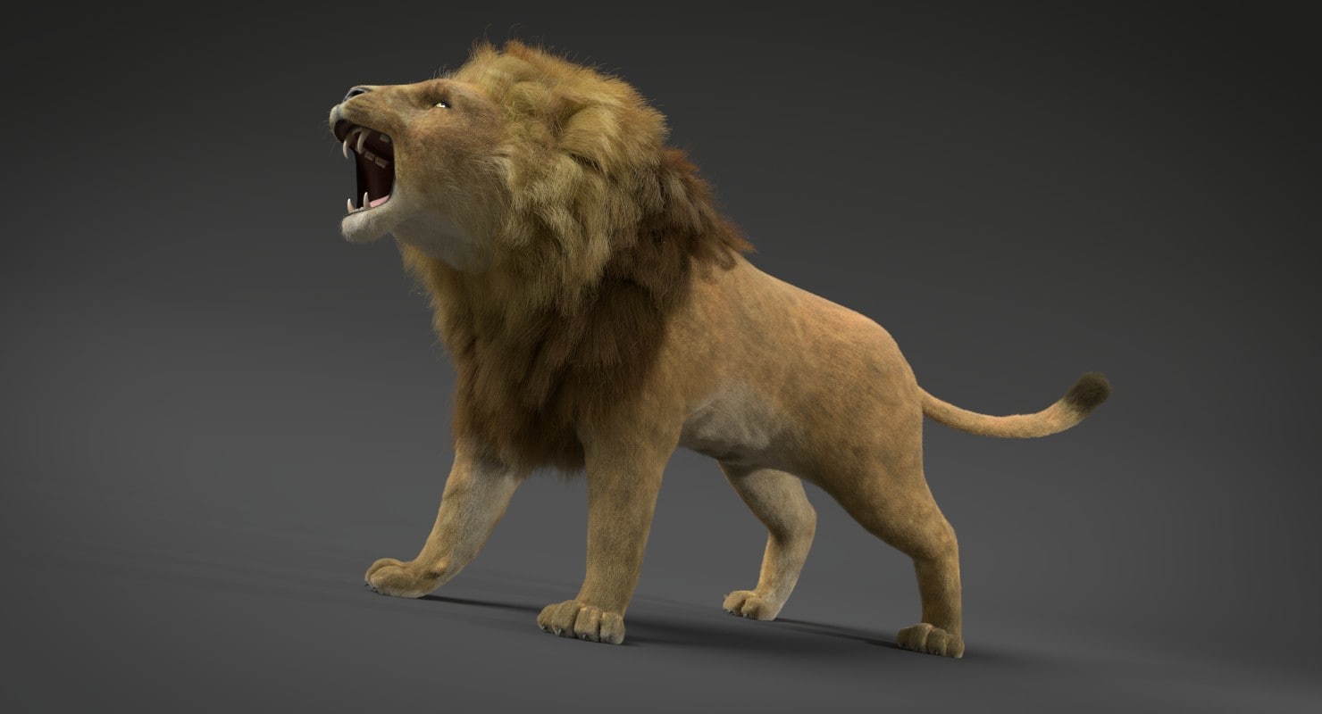lion fur animation 3d 3ds